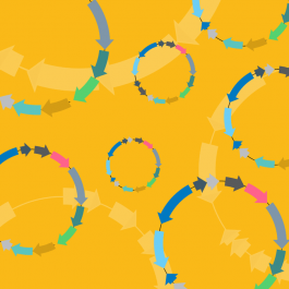 pMSCV-Mouse RORγt-EF1α-GFP-T2A-Puro for RORγt Overexpression | System ...