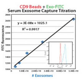 Basic Exo-Flow Capture Kit | System Biosciences