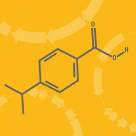 Water-soluble Cumate Solution (10,000x) | System Biosciences