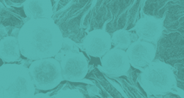 ExoQuick® Exosome Isolation and RNA Purification Kit (for Serum ...
