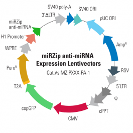 miRZip™ anti-miRNA Expression Lentivectors | System Biosciences