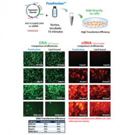 PureFection™ Transfection Reagent | System Biosciences