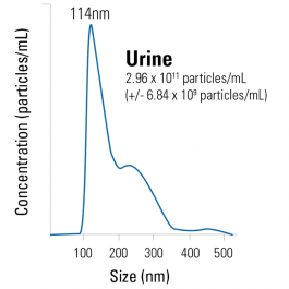 Exosomes from Pooled Human Urine (Healthy Donors) | System Biosciences