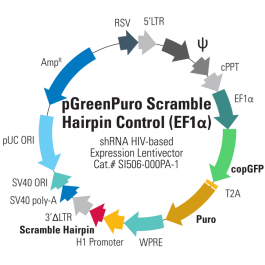pGreenPuro Scramble Hairpin Control (EF1α) shRNA Expression Lentivector | System Biosciences