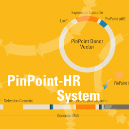 PinPoint-HR System for Platform Cell Line Generation & Retargeting ...
