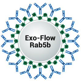 Rab5b Exo-Flow Capture Kit | System Biosciences