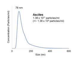 Exosomes from Human Ascites Fluid (Single Donor) | System Biosciences