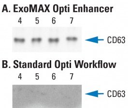 ExoMAX™ Opti Enhancer | System Biosciences