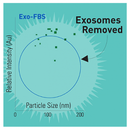 Exo-FBS | System Biosciences