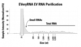 EVery EV RNA Isolation Kit | System Biosciences