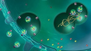 System Biosciences Announces License of ExoQuick® Technology to QIAGEN ...