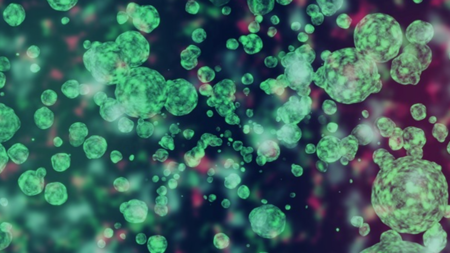 Just learning about exosomes? Get started here. | System Biosciences ...