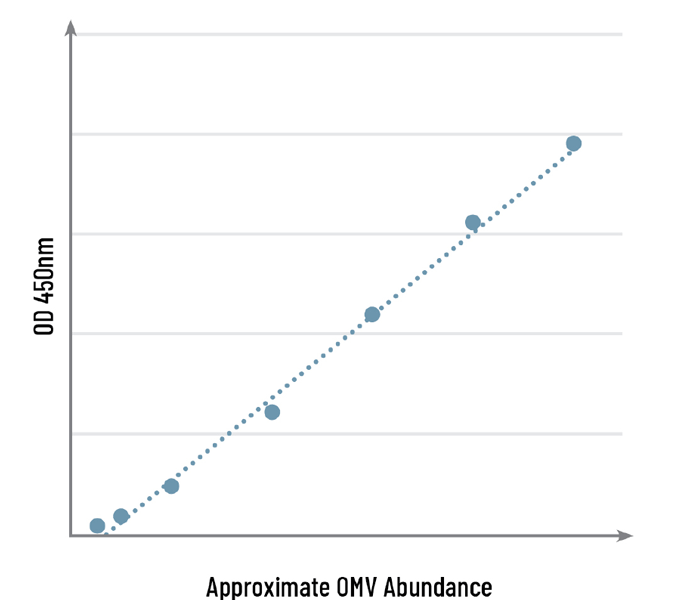 Discover Gram-negative bacterial OMVs fast with ExoELISA-Ultra BamA Kit ...