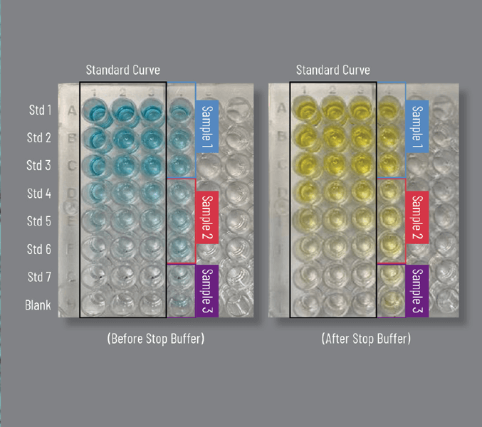 Discover Gram-negative bacterial OMVs fast with ExoELISA-Ultra BamA Kit ...