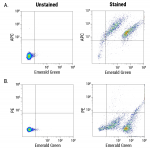 ExoFlow-ONE EV Labeling Kit for Flow Cytometry (Citrine Yellow ...