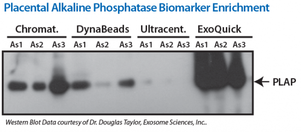 The Original ExoQuick | System Biosciences